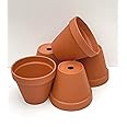 Spang Small Traditional Terracotta Plant Pots 9cm W x 8cm H (F9) - Pack ...