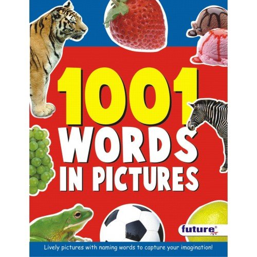 Amazon.in: Buy 1001 Words in Picture Book Online at Low Prices in India ...