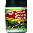 Doff Rooting Powder 75g - For Higher Success in Plant Propagation ...