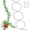 HASTHIP® 18Pcs Garden Chain Trellis for Climbing Plants - Metal Hexagon ...