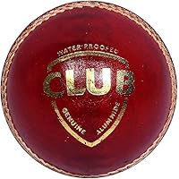 SG Club Leather Ball (Red), cricket, 160 Grams : Amazon.in: Sports ...
