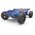 Redcat Racing Pp Racing Piranha-Xtr-10 Car, Pack Of 1, Blue, Adult ...