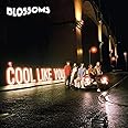 Cool Like You [VINYL]: Amazon.co.uk: CDs & Vinyl