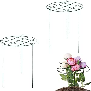 KKSTY Metal Plant Support Round Grow Through Grid, Pack of 2 Peony Cage ...