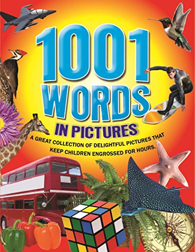 Buy 1001 Words in Pictures Book Online at Low Prices in India | 1001 ...