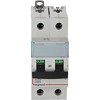 Legrand DX 3 32-Amp 2-Pole C Curve MCB 408636 (White) : Amazon.in: Home Improvement