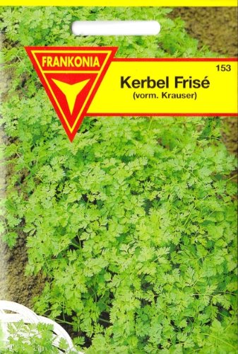 Kerbel Anbau, Pflege und Verwendung ♻︎ Kräuter ABC