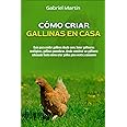 Cómo criar gallinas en casa: Guía para cuidar gallinas desde cero, tener gallineros ecológicos ...