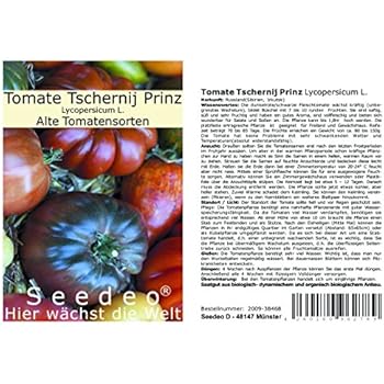 Tomate Tschernij Prinz (Lycopersicum L.) 25 Samen Reinsaat: Amazon.de ...