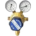 ESAB Single Stage Oxygen Regulators -IOX 13B (2 GAUGE) : Amazon.in ...