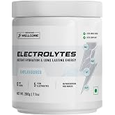 Wellcore Electrolyte Powder (40 Servings, 200gm) | Valencia Orange ...