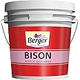 BERGER Bison Acrylic Distemper Color-White 10K : Amazon.in: Home ...