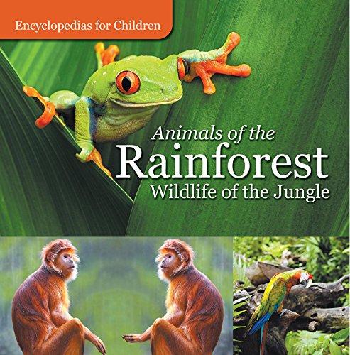 Animals of the Rainforest | Wildlife of the Jungle | Encyclopedias for ...