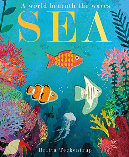 Buy Sea: A World Beneath the Waves Book Online at Low Prices in India ...