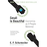 Small Is Beautiful : E F Schumacher: Amazon.in: Books