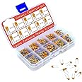 Techmahoday® 100pics Ceramic Capacitor Assortment Box Kit Range all Capacitor kit : Amazon.in ...