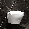 Kohler Apt Wall-hung Square-front Toilet with Skirted Trapway : Amazon ...