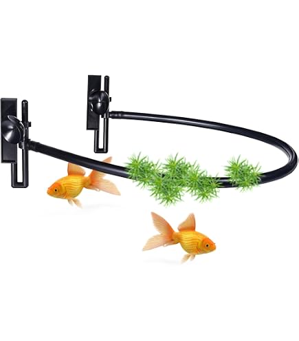 Fish Feeding Ring 5 Pcs Aquarium Floating Plant Corral s Fish Tank ...