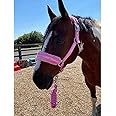 Equipride Horse Print Faux Lined Nylon Headcollars with Matching Lead ...