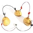 AUNMAS Bio Energy Science Kit, Potato Electricity Experiments Science ...
