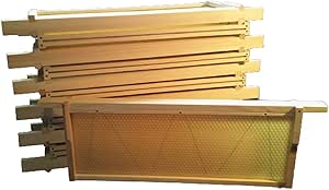 12x SN4 Beehive Super (Shallow) Assembled Hoffman Self Spacing Frames ...