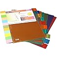 Solo SP 110 Separator/Divider (Set of 10) A4 - Multi-Color : Amazon.in ...