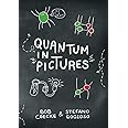Buy Quantum in Pictures: A New Way to Understand the Quantum World Book Online at Low Prices in ...