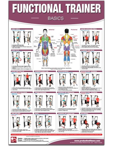 Buy Functional Institutional/Home Gym Poster/Chart- Basics - Functional ...