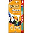 BIC Kids Evolution ECOlutions Crayons de Couleur - Coloris Assortis, Etui Carton de 12 : Amazon ...