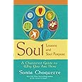 Soul Lessons and Soul Purpose: A Channeled Guide to Why You Are Here: A ...