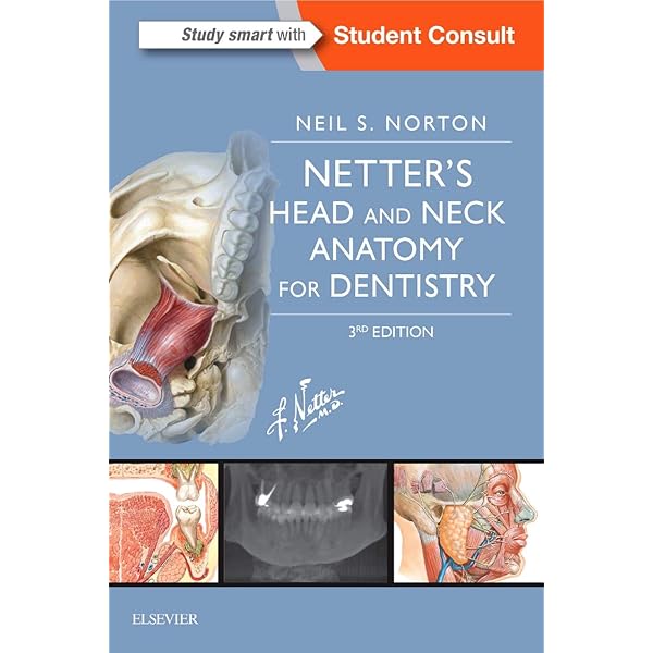 Head And Neck Anatomy Flash Cards