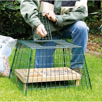 RSPB Mesh Ground Feeder: Amazon.co.uk: Garden & Outdoors