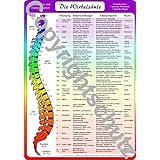 Blutgruppen-Typen Übersichtskarte DIN A5 (Lehrtafeln / Übersichtskarten) : Tanja Aeckersberg ...