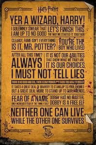 Harry Potter Quotes Maxi Poster, 61 x 91.5 cm: Amazon.co.uk: Kitchen & Home