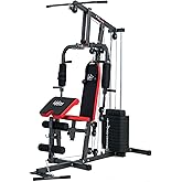 Lifeline Multi Home Gym Leg Press Machine HG 008 with Preacher Curl ...