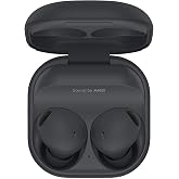 Samsung Galaxy Buds Core True Wireless Bluetooth Earbuds, Active Noise ...