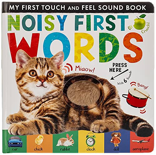 Noisy First Words: My First Touch and Feel Sound Book (My First Touch ...