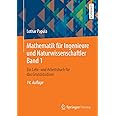 Mathematik für Ingenieure und Naturwissenschaftler Band 1: Ein Lehr- und Arbeitsbuch für das ...