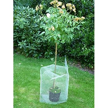 Wühlmauskorb Wurzelschutz der Jungen Bäume und Pflanzen vor Wühlmaus ...