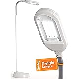 Kenley Daylight Reading Lamp Floor Standing - 12W LED Standard Reading ...