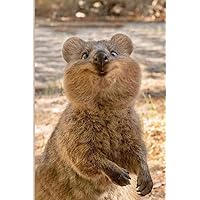 Cute Quokka Notebook: Amazon.co.uk: Creator, The: 9798420720196: Books