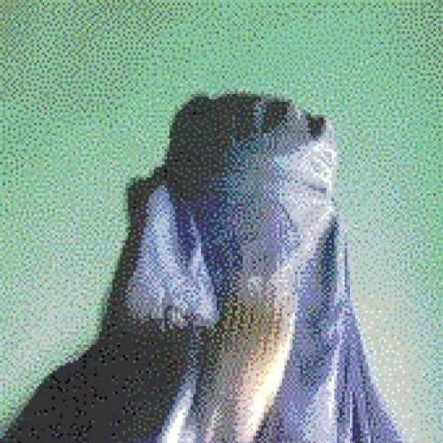 Burka Blue [Vinyl Single]: Amazon.de: Musik-CDs & Vinyl