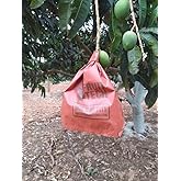 Mango Fruit Covers and Bags Pack of 100 Covers : Amazon.in: Garden ...