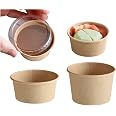 HOT BARGAINS 500 X 2oz Kraft Paper Sauce Pots with Reusable Lids Small ...