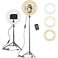 AIXPI 25 cm LED Ring Light with 150 cm Tripod Stand & Mobile Phone ...