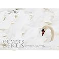 Oliver's Birds: By Oliver Hellowell : Photographs by Oliver Hellowell ...