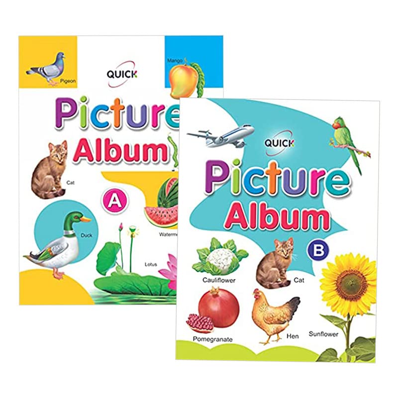 Buy QUICK BOOK INTERNATIONAL Kids Coloring Book Combo School Drwaing ...