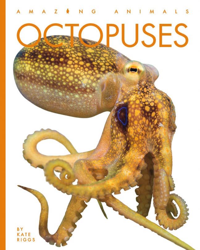 Buy Octopuses (Amazing Animals) Book Online at Low Prices in India ...