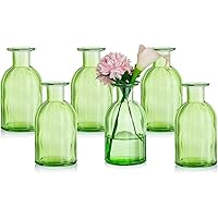 Amazon.de: Glasseam Kleine Vasen Set Glasvase, 6 Stück Mini Blumenvase Grün Vintage Vase Glas ...