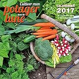 Semer avec la lune : comment les phases lunaires influencent l’agriculture